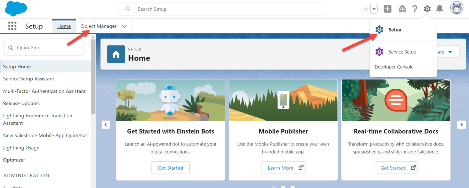 Record Types in Salesforce