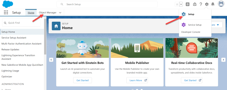 Record Types in Salesforce