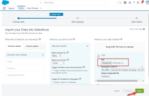 How to Mass Import Contacts into Salesforce - SalesForce FAQs