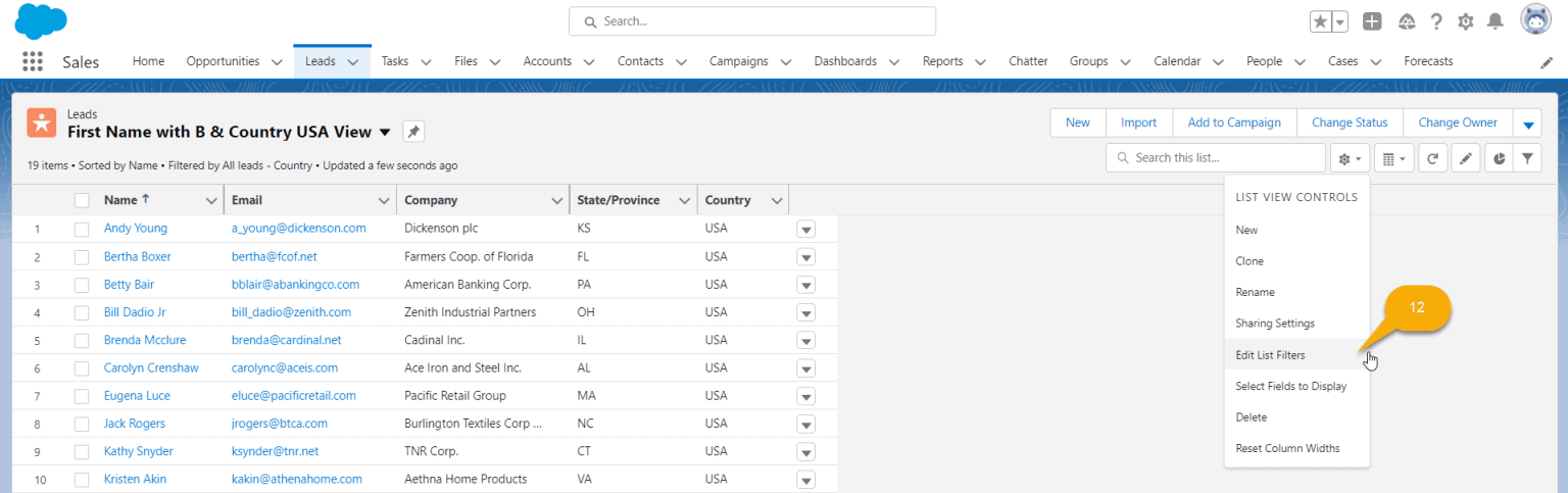 Salesforce List View - SalesForce FAQs