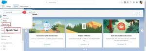 Quick Text in Salesforce - SalesForce FAQs