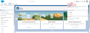 Salesforce Profile Picture