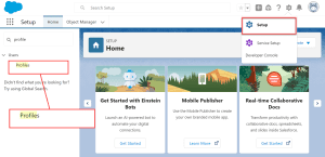 Enhance Profile View in Salesforce
