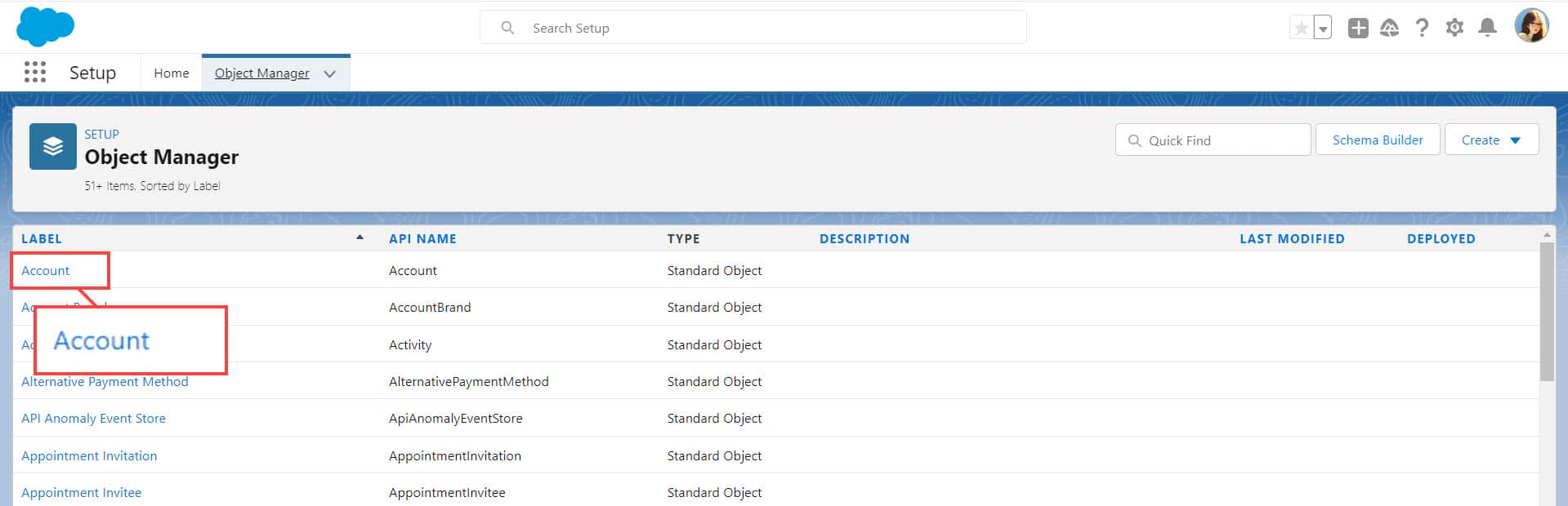 Convert Date to Text Using Formula in Salesforce : Bijay Kumar