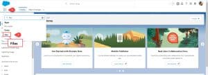 Email Signature in Salesforce - SalesForce FAQs