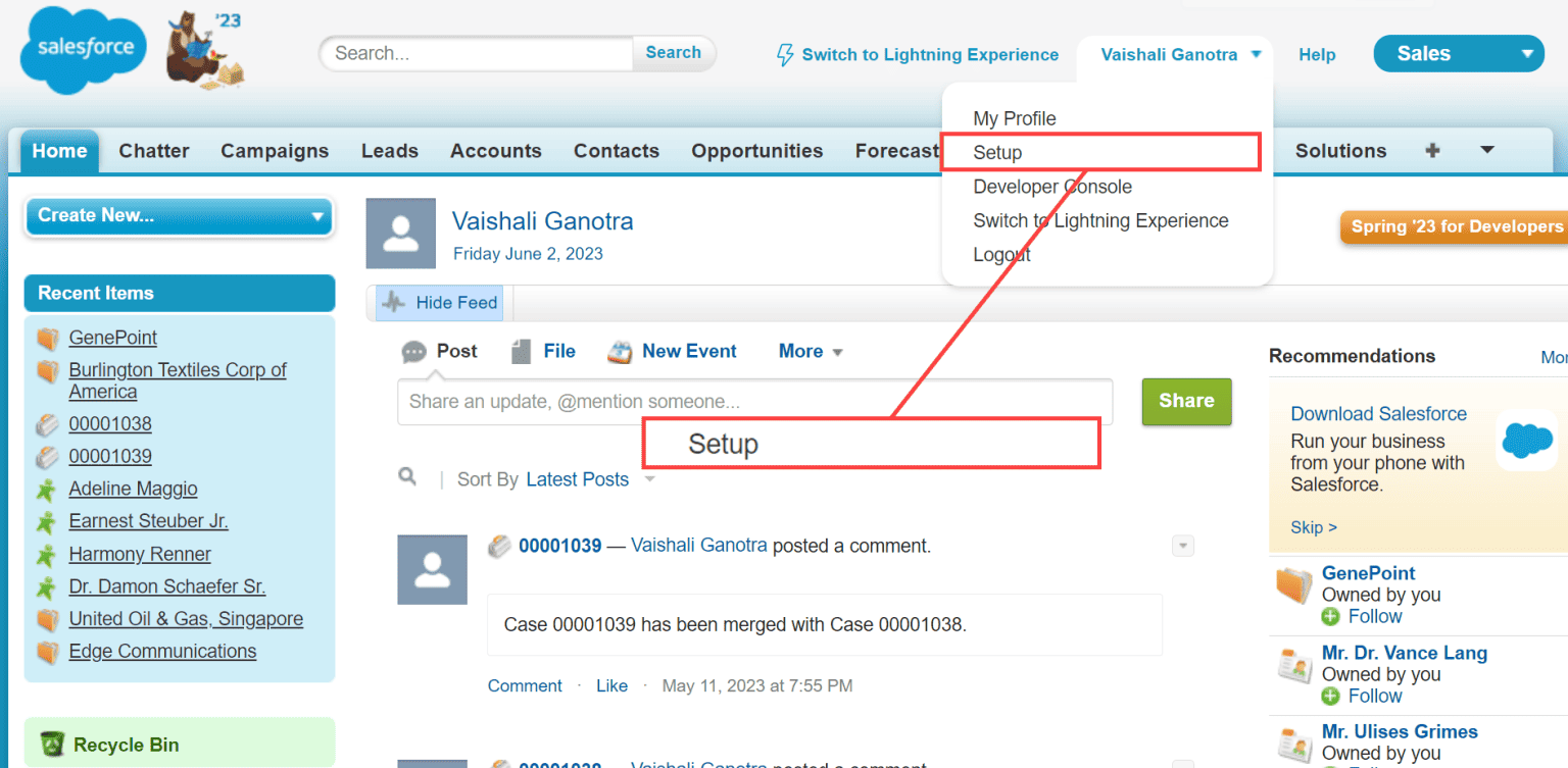 Control Login Access Policies in Salesforce | Detailed Guide