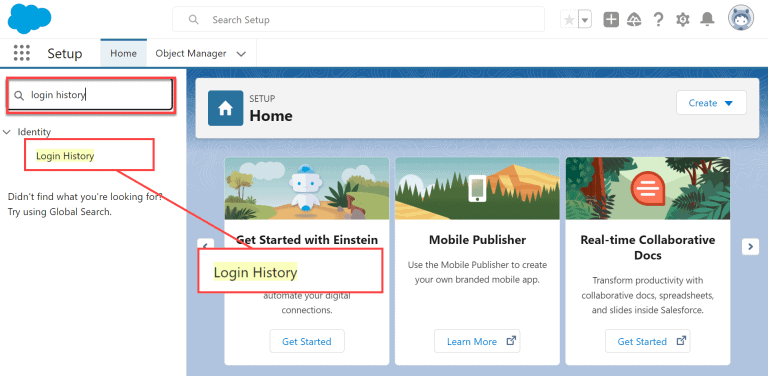 Login History in Salesforce - SalesForce FAQs