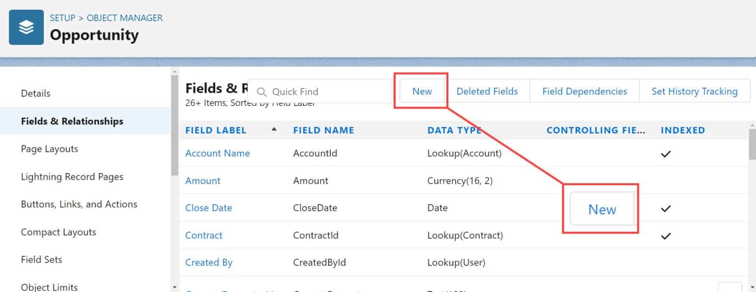 How to Create Auto Number Field Type in Salesforce