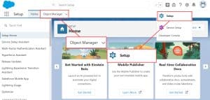 Salesforce Geolocation Field