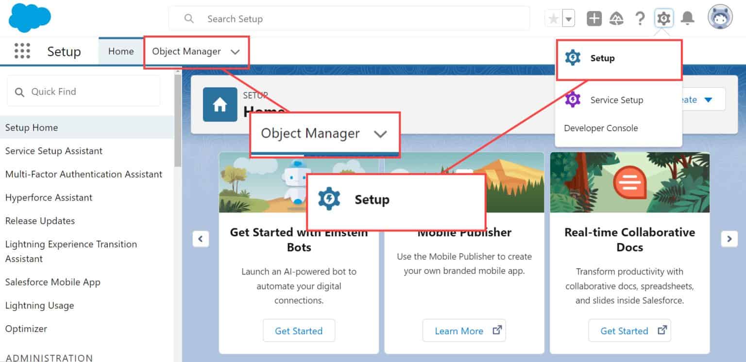 Salesforce Number Field