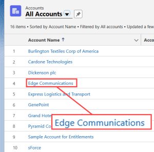 How to Change Account Owners in Salesforce
