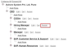 How to Create Role Hierarchy in Salesforce - SalesForce FAQs