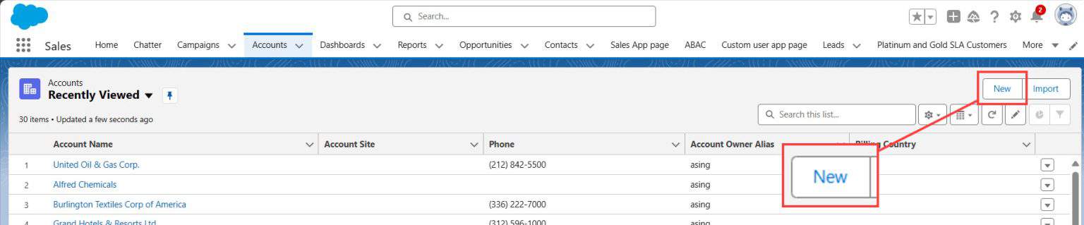 New Button Missing on Account Object in Salesforce - SalesForce FAQs