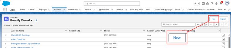 New Button Missing on Account Object in Salesforce - SalesForce FAQs