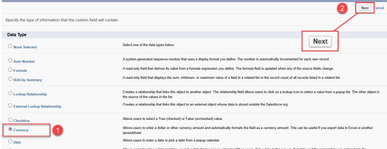 Salesforce Currency Field
