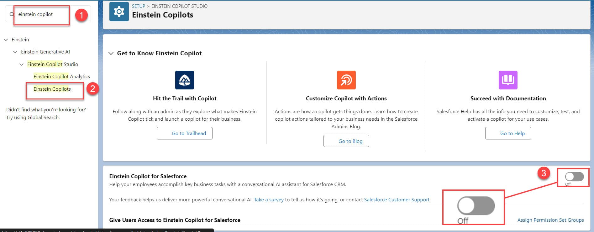 Access Einstein Copilot in Salesforce (Detailed Guide 2026)