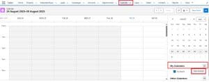 Create a Custom Calendar in Salesforce