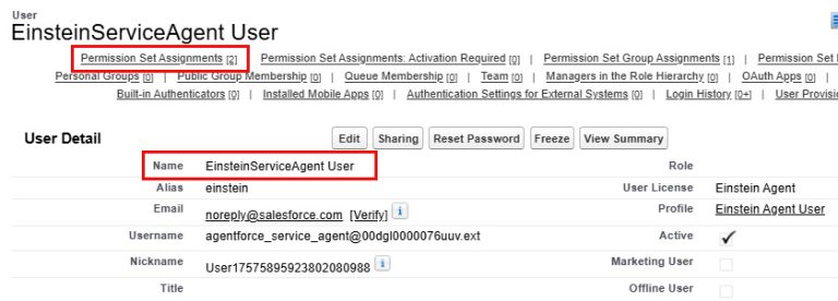 Einstein Service Agent User in Salesforce Agentforce