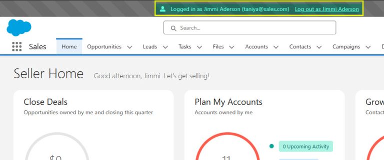 Salesforce Administrator Login as User: Add a Login Button : Bijay Kumar