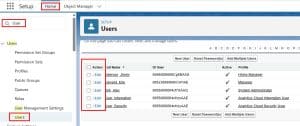 Salesforce Administrator Login as User: Add a Login Button : Bijay Kumar